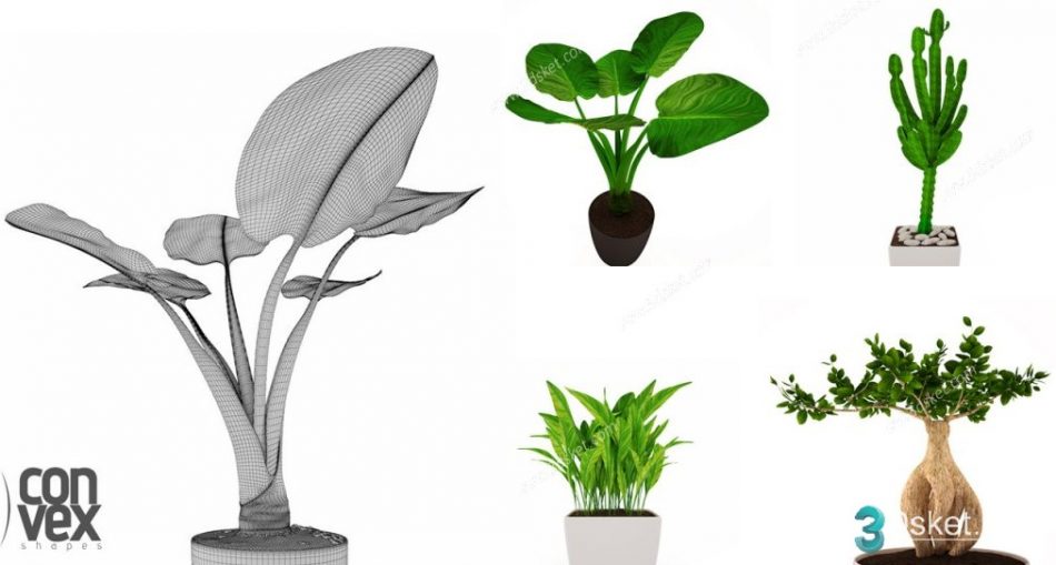 3D Model Indoor Plants Free Download 059 - Download 3D Model Free ...