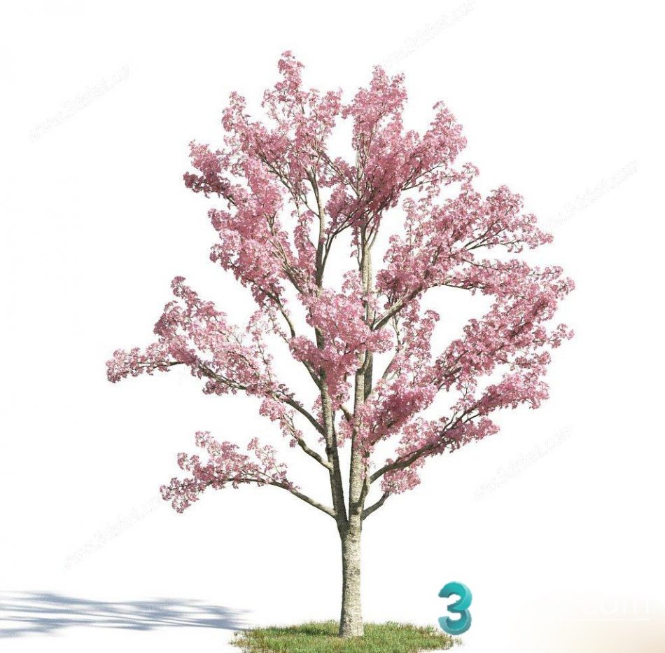 3D Model Outdoor Plants Free Download 002 - Download 3D Model Free ...