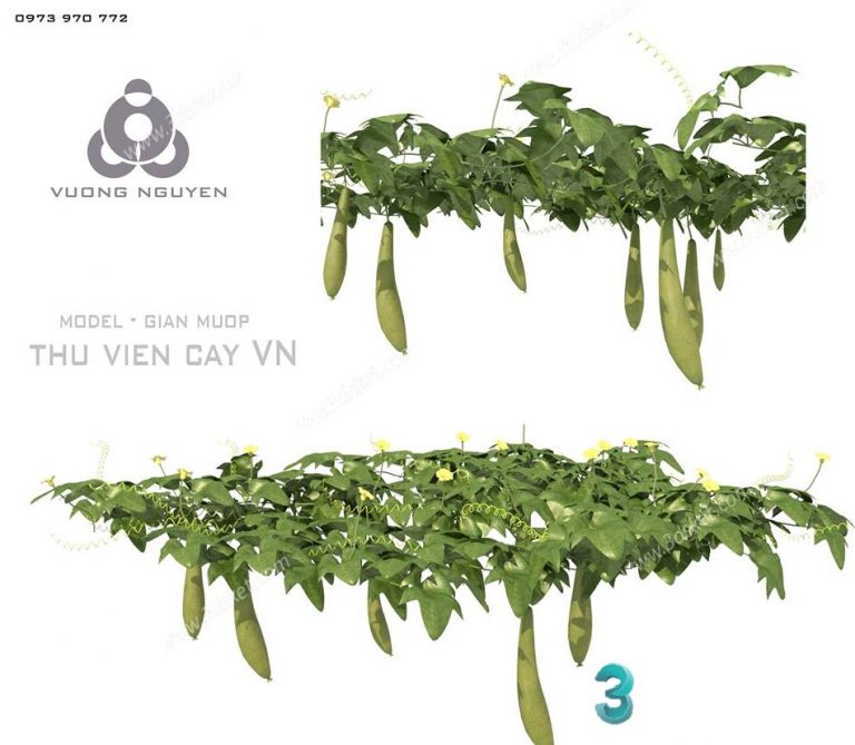 3d Giàn Mướp Model Free Download 011 - Download 3D Model Free ...