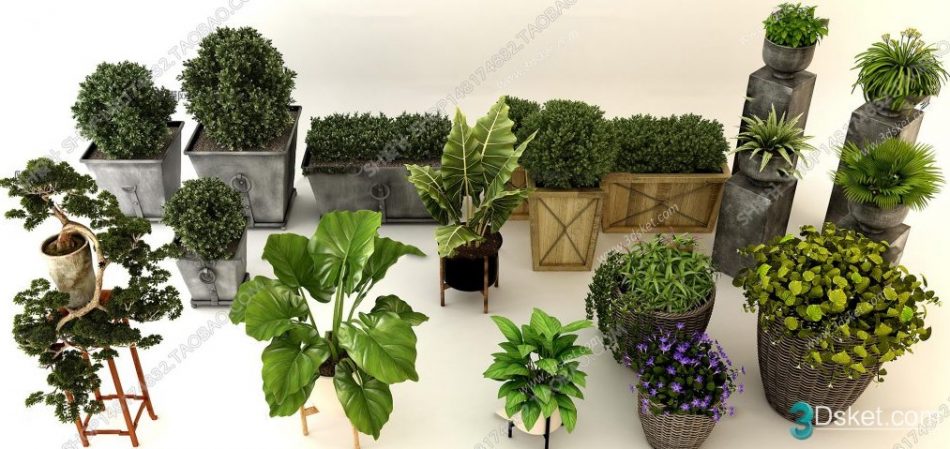 3D Model Indoor Plants Free Download 025 - Download 3D Model Free ...