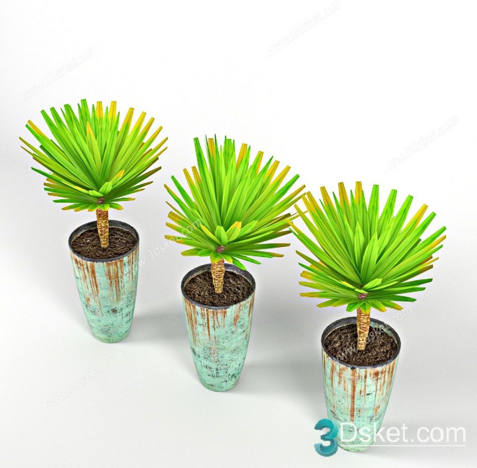 3D Model Indoor Plants Free Download 071 - Download 3D Model Free ...