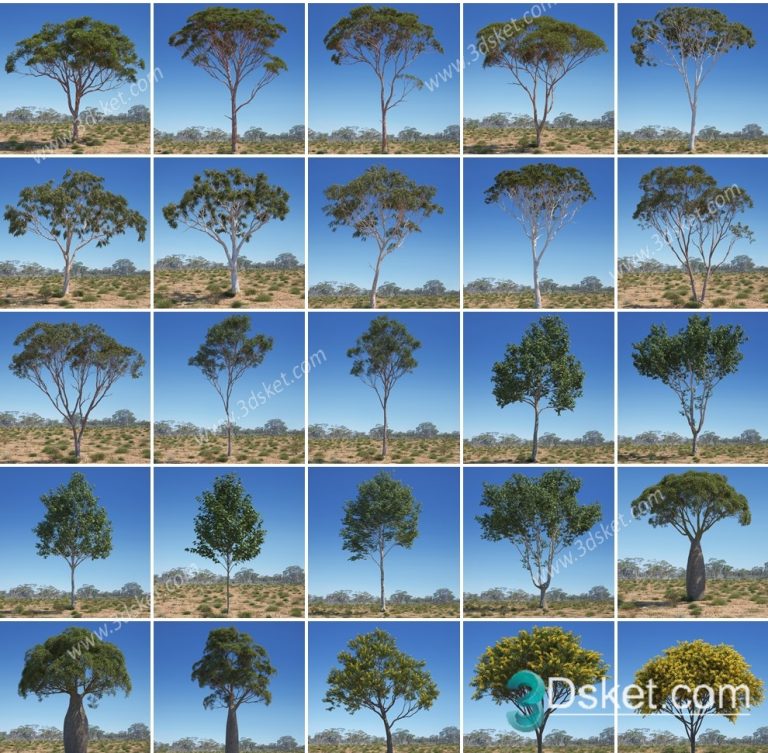 3D Model Tree Free Download T002 - Download 3D Model Free 3dskymodel ...